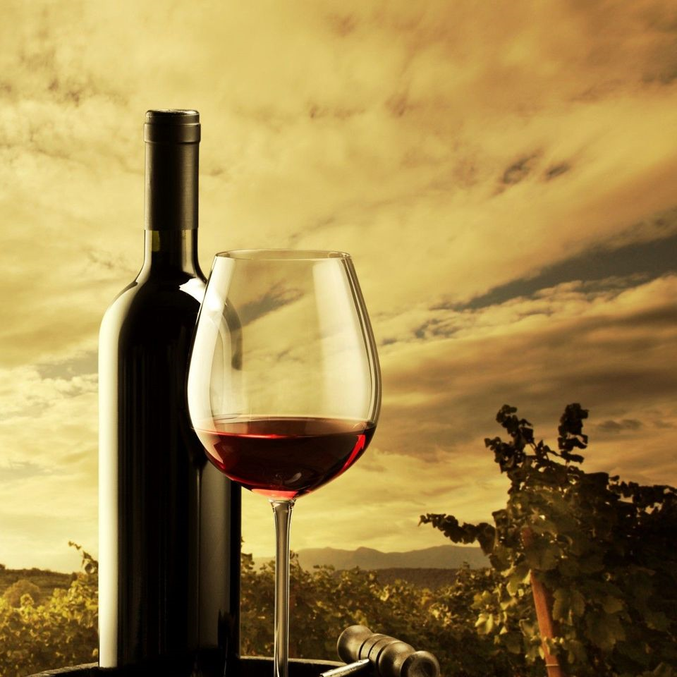 Shop All Our Wines Online - Taylor's Wine Shop